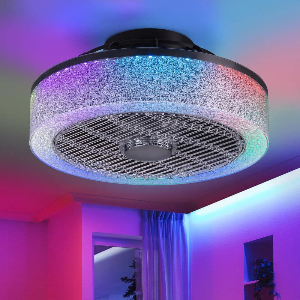 20 in. Indoor Black Caged Enclosed Ceiling Fan with LED Light Modern L